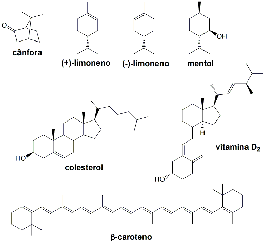 Terpenos: Prêmio Nobel de 1910 – A Química da Vida